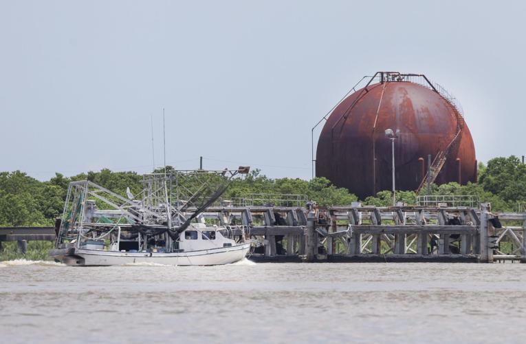 32 cases, 8 deaths from Vibrio vulnificus in LA, MS, AL, FL | Gulf ...