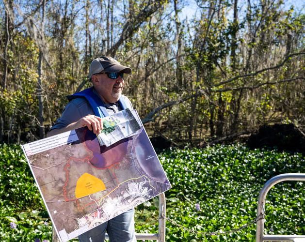 Dying Louisiana swamp to be revived with unique project | Environment | nola.com