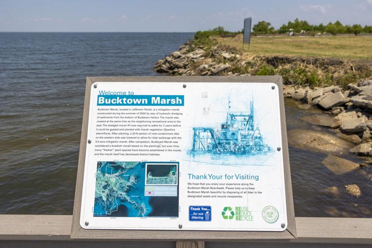 Bucktown living shoreline expected to break ground in July | Jefferson ...