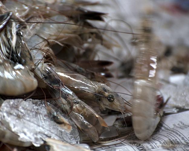 'Win Your Weight in Shrimp' champ gets his 200 pounds | Where NOLA Eats ...