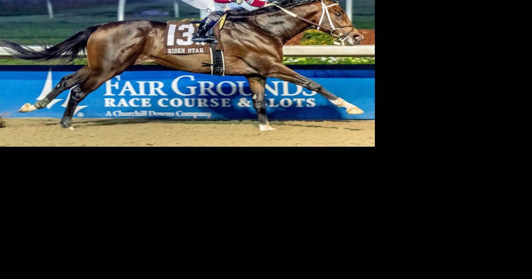 Fair Grounds 2025-2026 race meet preview: 5 horses to watch | Horse ...