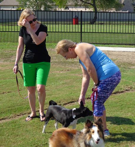 Who let the dogs out? Kenner and its new canine park! | Archive | nola.com