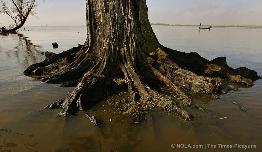 Louisiana's disappearing wetlands, seen through decades of ...