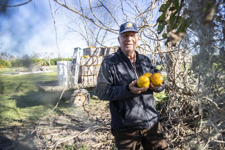 Ben Becnel's to close Belle Chasse farm stand | Where NOLA Eats | nola.com