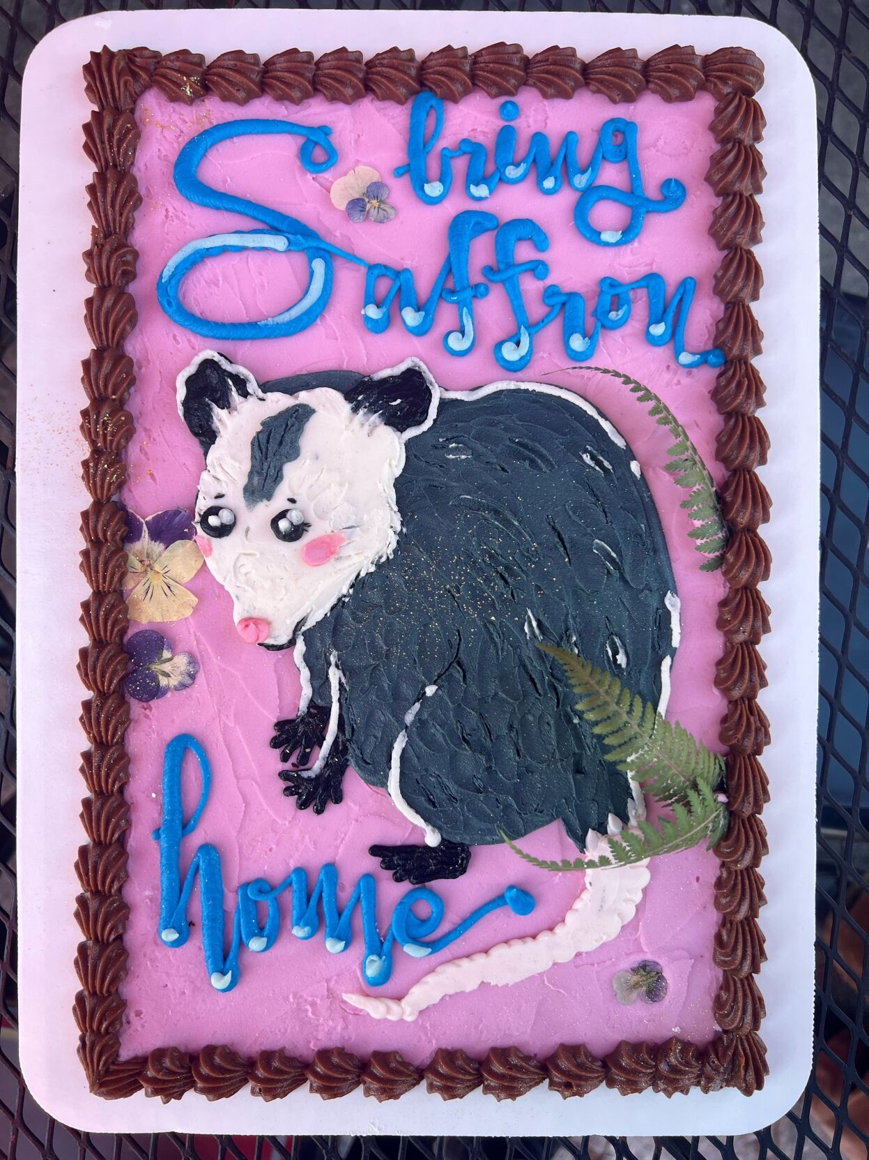 Saffron the possum is on his way home, owner says | Crime/Police | nola.com