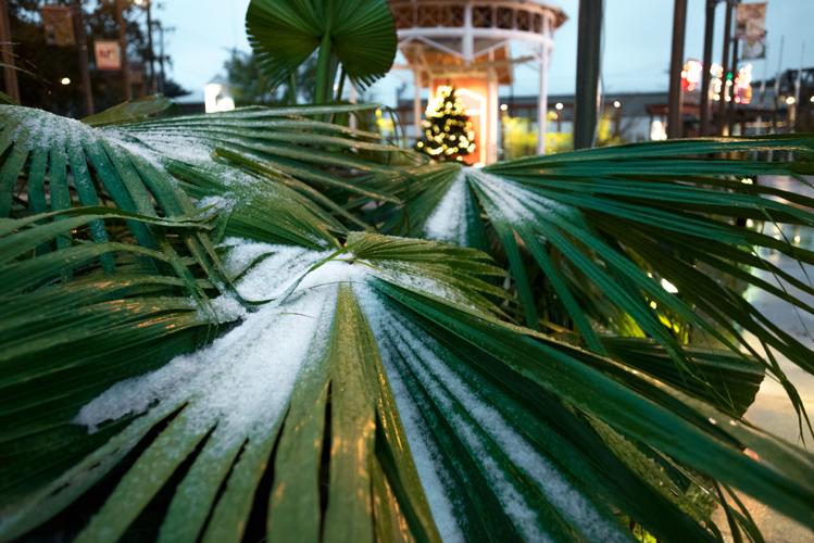 Snow in New Orleans: Winter weather advisory issued for area until 4 p ...