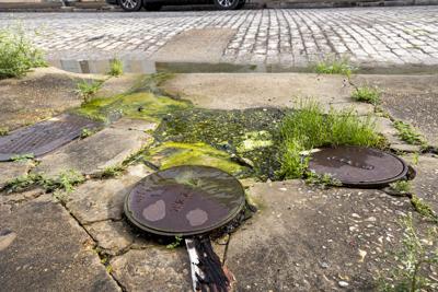 How to apply for New Orleans utility bill assistance | News | nola.com