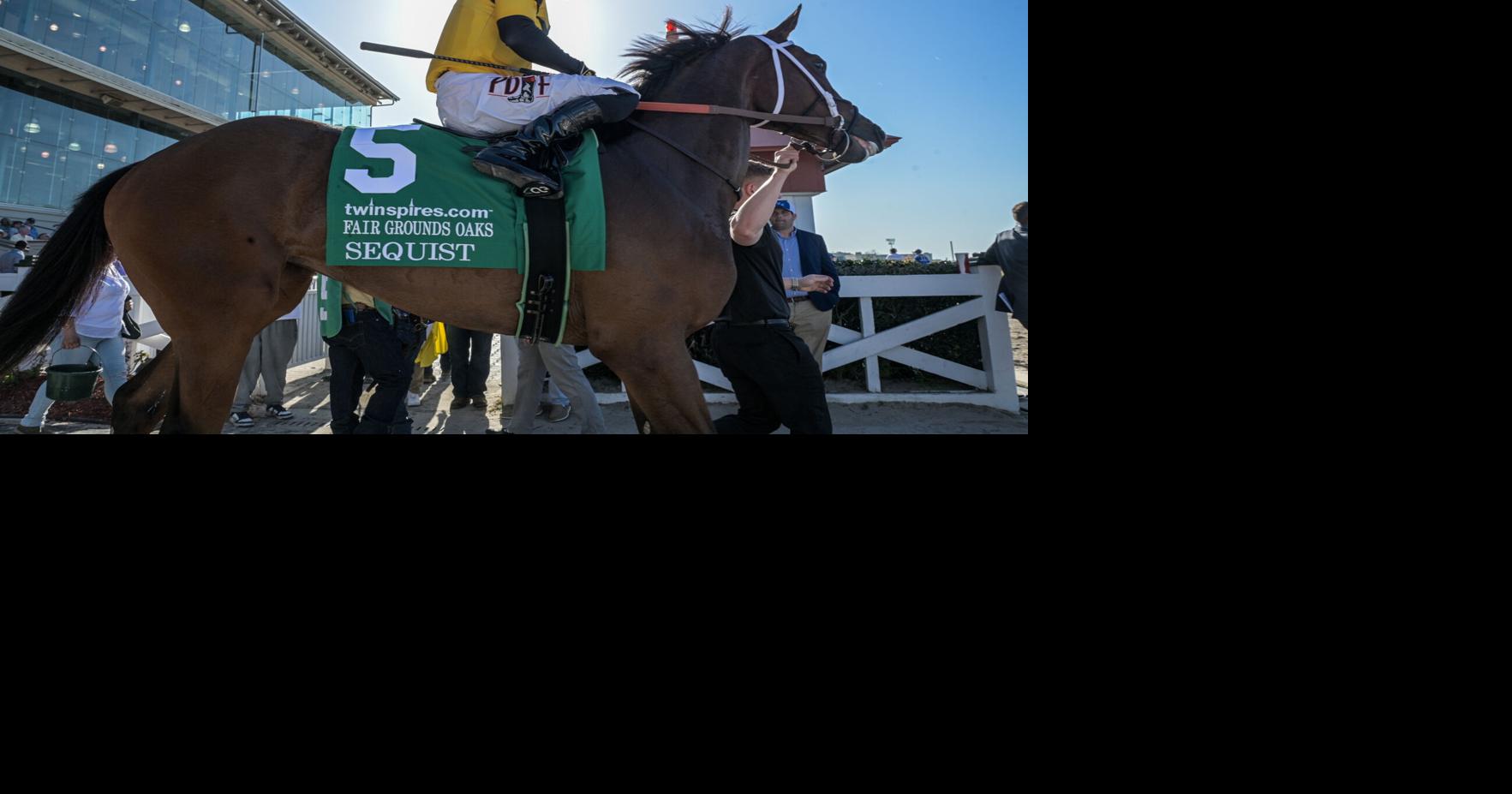 Check out Michael Beychok's Fair Grounds picks for Friday, Dec. 2 ...