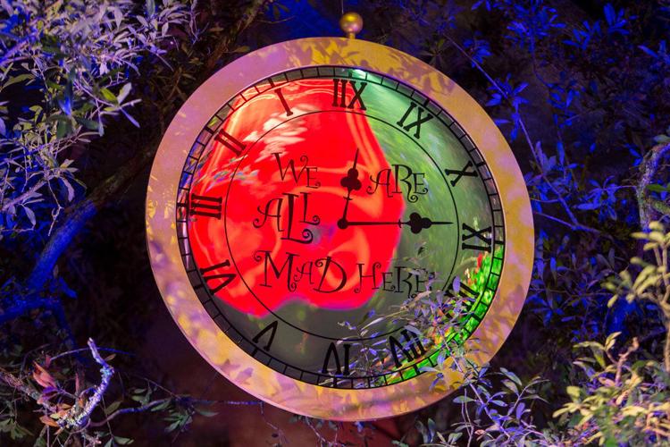 Alice in Wonderland-themed party takes Clare Conwill's friends and ...