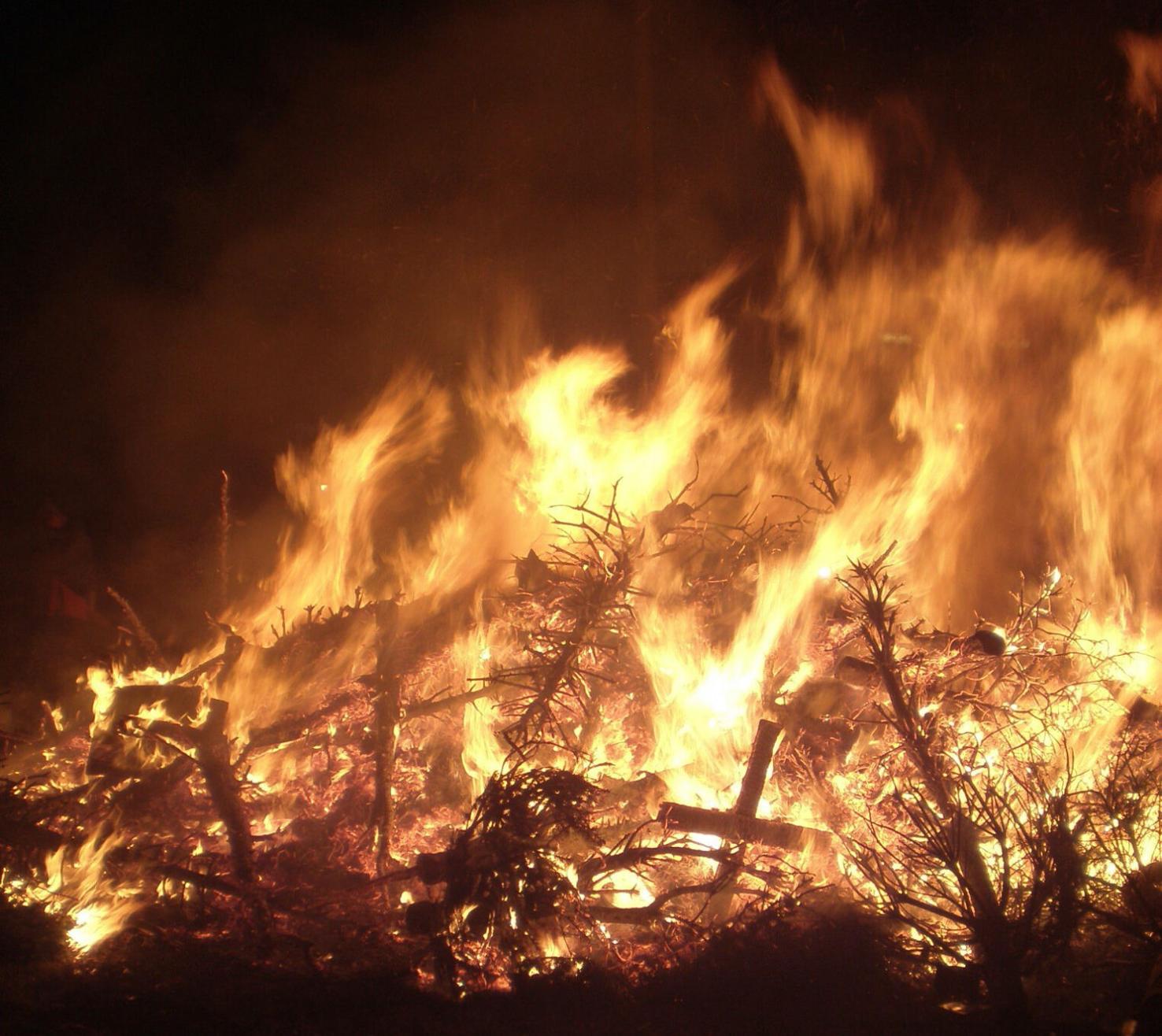 Remembering the rowdy, renegade Orleans Avenue bonfire | Louisiana ...