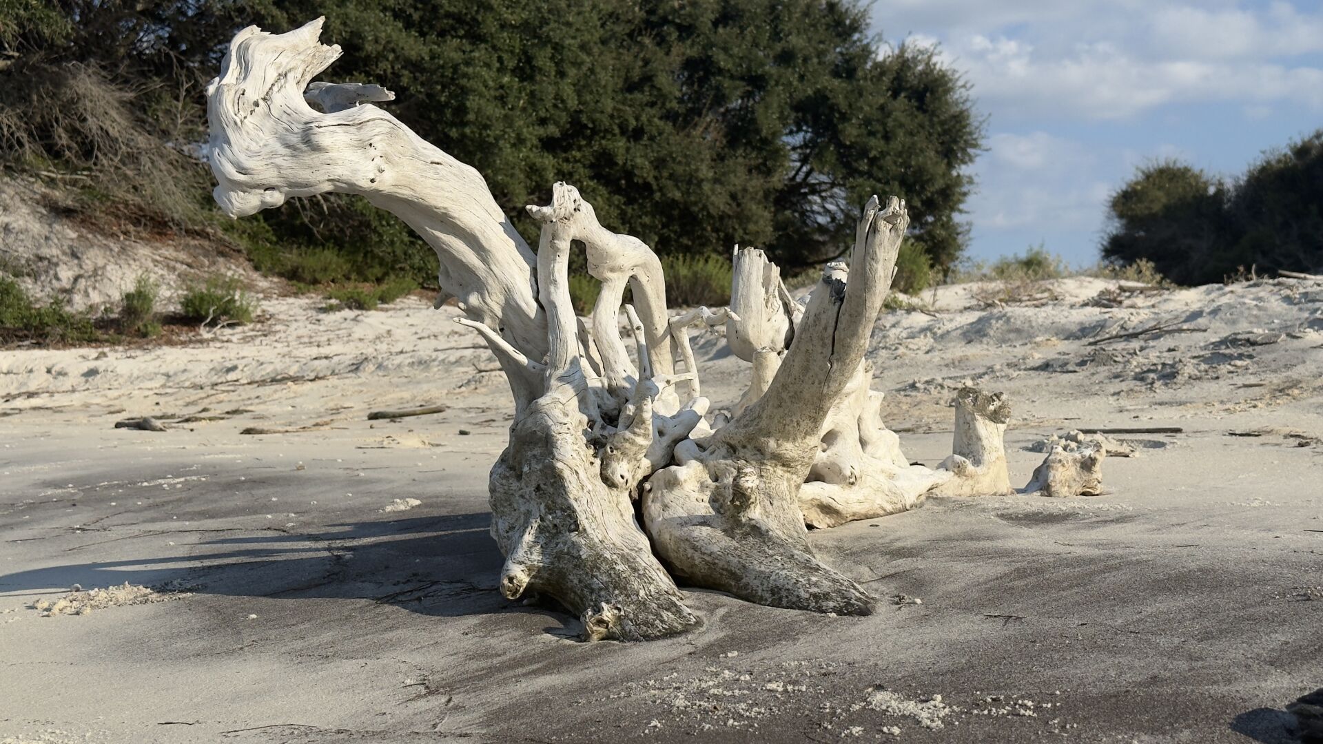 Why you should take a day trip to Horn Island near Biloxi MS | Gulf ...