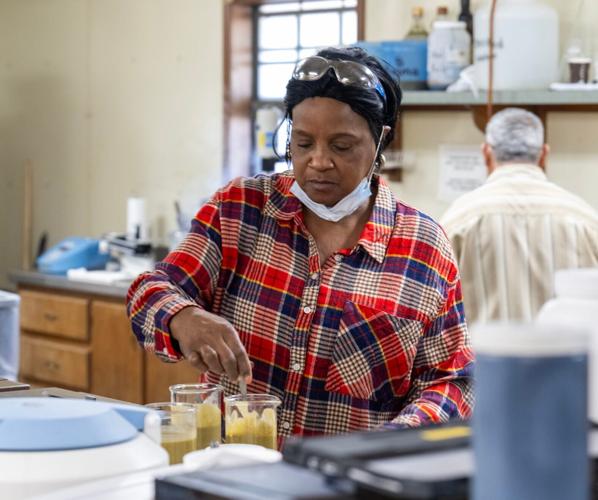 Here's how sugar is made in Louisiana: inside a sugar mill | News ...