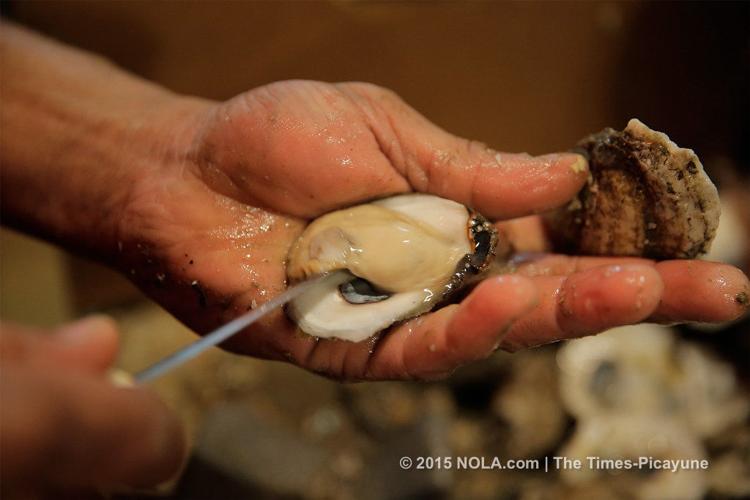 Kenner Seafood | Where NOLA Eats | nola.com