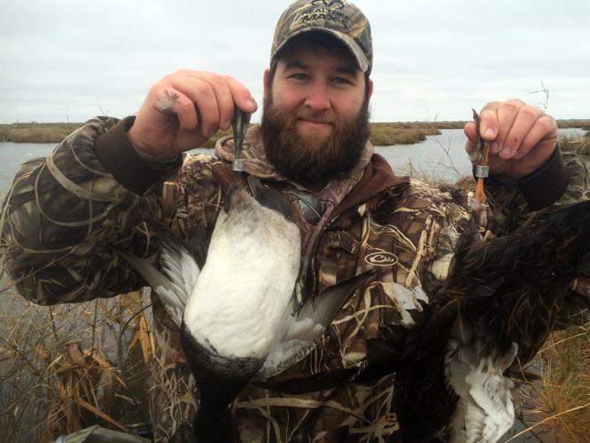 Destrehan hunter's banded-duck story takes really bizarre turn | Sports ...