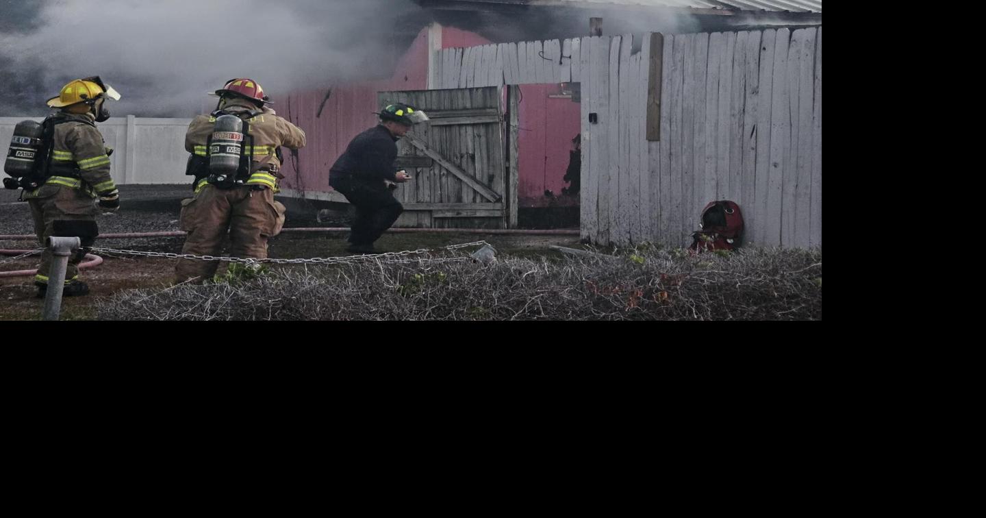 Fire at former Scuttlebutt likely caused by squatters | One Tammany ...