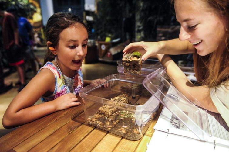 Two-dollar Tuesdays lure parents, kids to Insectarium | Entertainment ...
