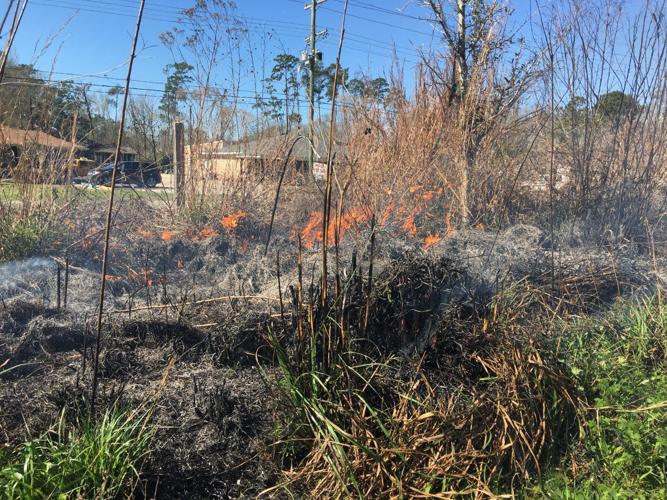 Fire burns Mandeville public garden - for good reason | Traffic | nola.com