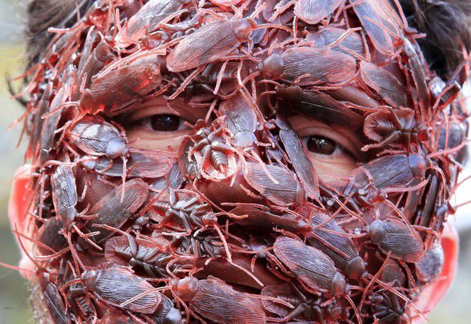 How to properly stomp a cockroach ... or learn to love them | Archive ...