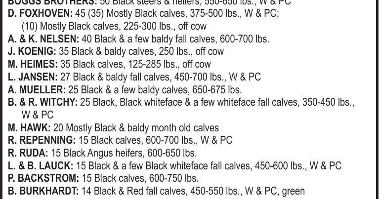 Creighton Livestock Market | Livestock | norfolkdailynews.com