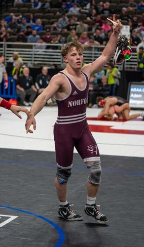 michael tanner wagner