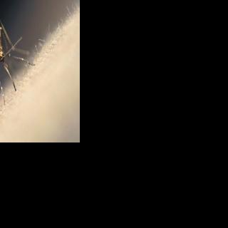 Winnetoon offers visitors something to remember | News ...