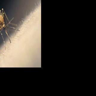 Winnetoon offers visitors something to remember | News ...