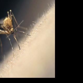 Winnetoon offers visitors something to remember | News ...