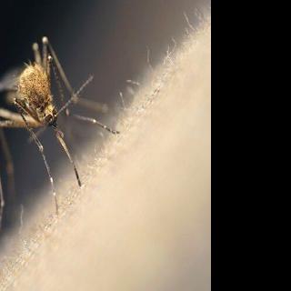 Winnetoon offers visitors something to remember | News ...