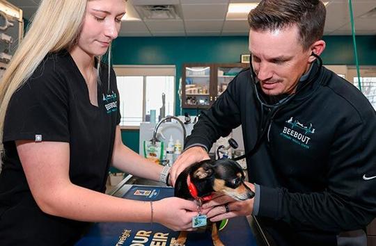In UNK pre-vet program, students learn to care for animals and their ...