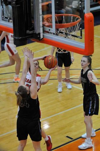 Wolverines claw Cadets, batter Bulldogs for EHC titles | Sports ...