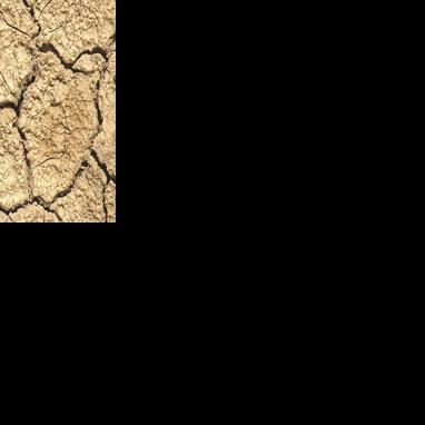 March weather viewed as key to avoid drought | Select ...
