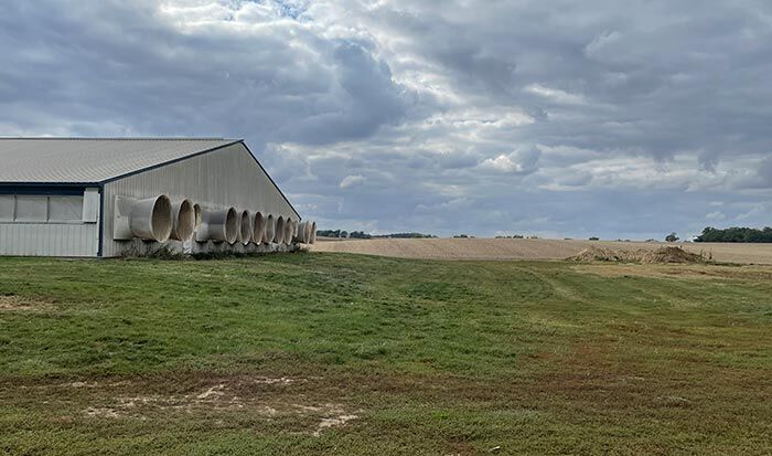 Hog facility cause for concern among neighbors | Feature ...