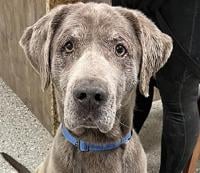 Northeast Community College students honored | News | norfolkdailynews.com