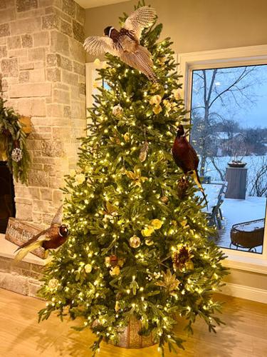 The Regal Roost: Pheasants at Christmas | Contests Again ...
