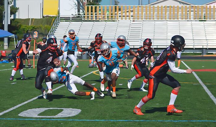 Lawdawgs battle heat, mutiny and injuries to win final game of the ...