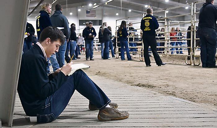 Nearly 600 students compete in district livestock judging contest at ...