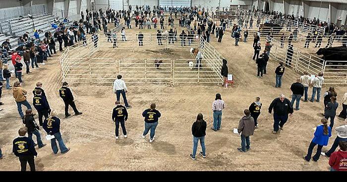 More than 500 students compete in livestock judging at Northeast ...