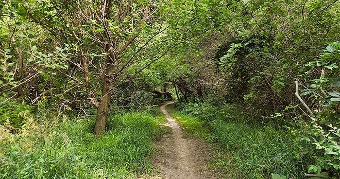 LENRD approves grant proposal for Maskenthine Lake bike trail ...