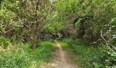 LENRD approves grant proposal for Maskenthine Lake bike trail ...