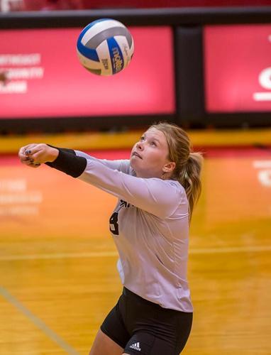 Hawks show potential in sweep of No. 15 Hawkeye CC | Select ...