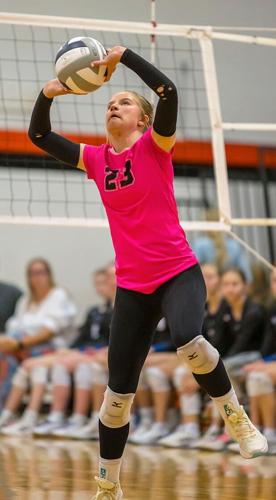 Wynot wins another L&C volleyball title | Select | norfolkdailynews.com