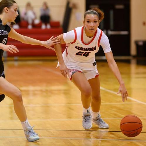 Hawks split a pair of games with Southeast CC | Select ...