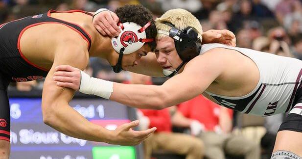 Panther duo falls in Class A finals | Select | norfolkdailynews.com