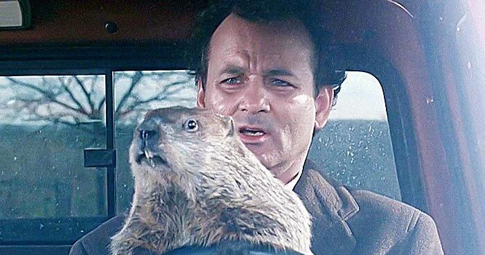 ‘Groundhog Day’ still strikes a chord nearly 30 years later | Feature ...