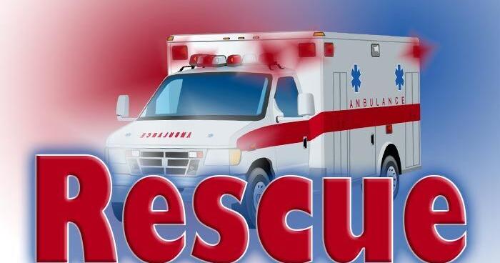 69 goats, 6 sheep killed in semi rollover | News | norfolkdailynews.com