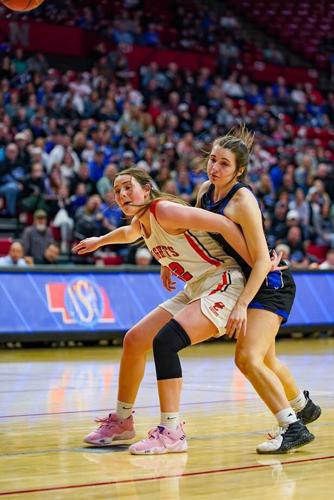 Nelson, defense lead Oakland-Craig past Ponca | Select ...