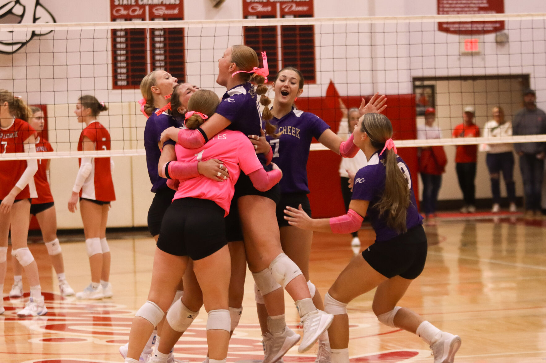 Bravettes outlast Cedar Catholic in 5 | Select | norfolkdailynews.com