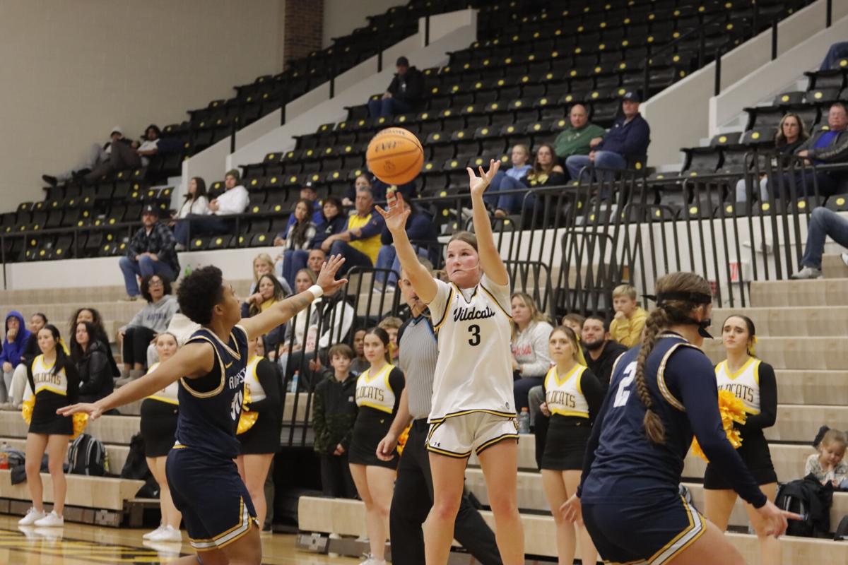 Wayne State women go to two overtimes for win; Wildcat men fall ...