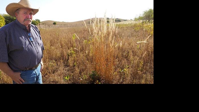 Nebraska tribe pays $65K a year to rent land on its own reservation but ...
