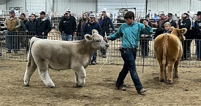 Thanksgiving weekend features annual livestock show at Northeast | News ...
